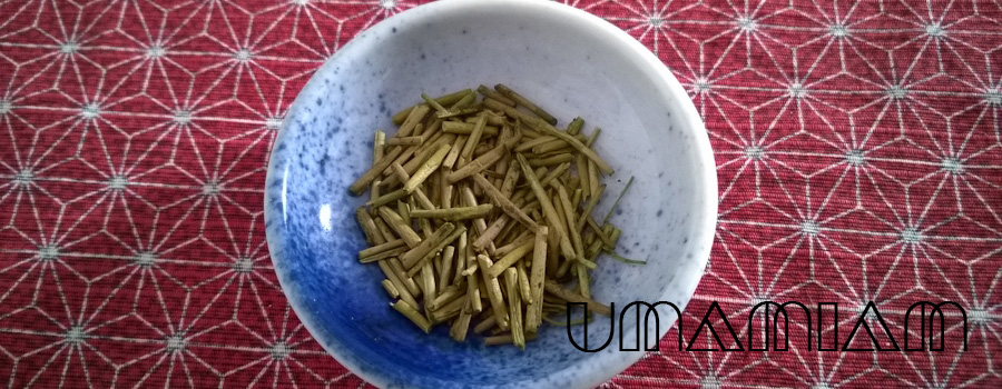 Hojicha : l'autre thé japonais - Umamiam
